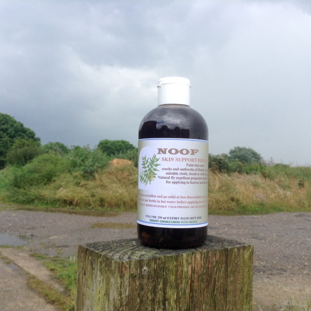 Noof Oil is a Natural Antifungal Pure Azadirachta Indica Oil